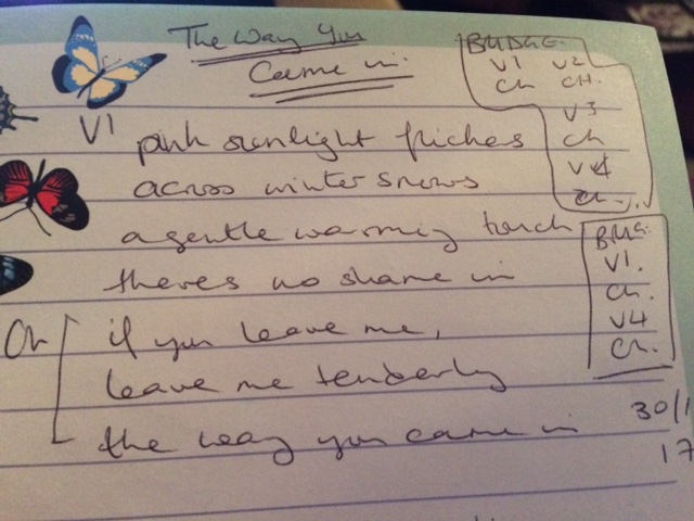 Lyrical Writer – ann kenney songs